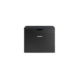 sobuy Schuhbank mit 1 T&uuml;r Schwarz 30x59,99x50,01cm Funktional