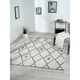 MyFlair Teppich &raquo;Luana 2, LAGERR&Auml;UMUNG&laquo; rechteckig 10 mm H&ouml;he Kurzflor, Sisal Optik, mit Fransen, besonders weich durch Microfaser bunt Polyester B : 140cm 1 