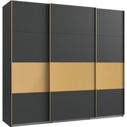 Schwebet&uuml;renschrank wimex, B:225cm H:208cm T:65cm, schwarz, Holzwerkstoff, Schr&auml;nke, "Dubai Kleiderschrank in trendigen goldenen Design", Breite