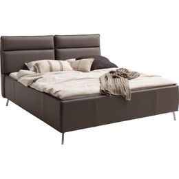 Polsterbett Home Affaire, B:226cm H:108cm L:236cm, braun, 100% Leder, Betten, "Cozy Town", inkl. 7-fache Einlegetiefenverstellung &