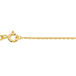 Firetti Damen Collierkettchen &raquo;Schmuck Geschenk Gold 333 Ankerkettengliederung in mehreren Breiten&laquo; gold 36, Gelbgold 333, B: 1,2mm
