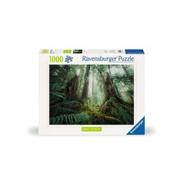 Ravensburger Puzzle 1.000 Teile Faszinierender Wald in bunt | Gr.: onesize