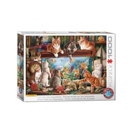 Eurographics Spiel - Katzen am Aquarium | Gr.: onesize