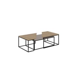 CALICOSY 3er-Set Couchtische TITAN in Mol - (W)110/96 x (H)42/41.8 x (L)70/60 cm | Gr.: onesize