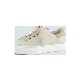Paul Green Sneaker Low in Beige | Gr.: 40