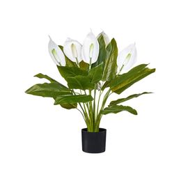 Beliani Kunstpflanze SPATHPHYLLUM in Gr&uuml;n/Wei&szlig; - (W) 60 x (H) 70 x (L) 60 cm | Gr.: onesize