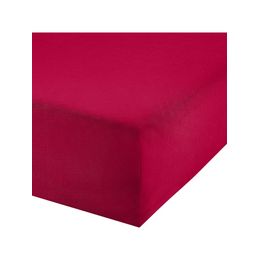 Erwin M&uuml;ller Erwin M&uuml;ller Single-Jersey Boxspringbett-Spannbettlaken Freising in rot | Gr.: 120x200 cm - 130x220 cm