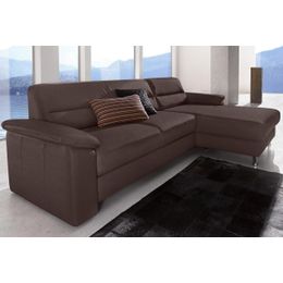 Sit & More Ecksofa SIT & MORE, B:251cm H:85cm T:165cm, braun, NaturLEDER (echtes Rindsleder), Korpus in Kunstleder SOFTLUX;Luxus-Microfaser (100%