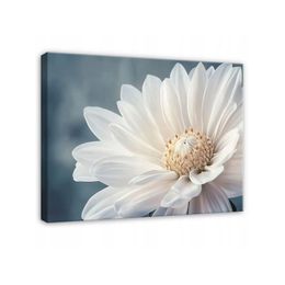 WALLARENA Leinwandbild Blumen in Wei&szlig; | Gr.: 40 x 30 cm