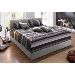 Polsterbett, B:165cm H:98cm L:210cm, grau, Westfalia Schlafkomfort, Bezug Bett: Microfaser (100% Polyester);Bonnell-Federkernmatratze: 51%