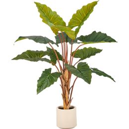 Kunstpflanze Creativ green, H:130cmgr&uuml;n, Obermaterial: 100% Kunststoff, Kunstpflanzen, "Taro", in beeindruckender Gr&ouml;&szlig;e
