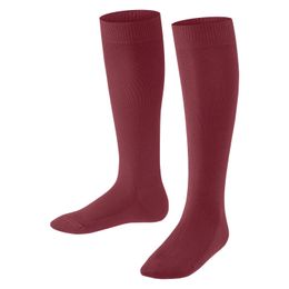Falke Kinder Kniestr&uuml;mpfe "Family", Gr. 19, rot, Obermaterial: 92% Baumwolle CO. 7% Polyamid PA. 1% Elasthan EL., glatt, Socken