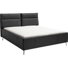Polsterbett Home Affaire, B:206cm H:108cm L:236cm, schwarz, 100% Leder, Betten, "Cozy Town", inkl. 7-fache Einlegetiefenverstellung &