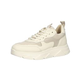 Steve Madden Damen Sneaker "Steve Madden Sneaker Leder/Textil", Gr. 41, beige, Leder, Textil, Schuhe