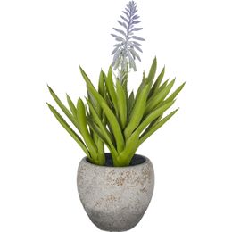 Kunstpflanze Creativ green, B:20cm H:38cm &Oslash;:20cm, gr&uuml;n, Obermaterial: 100% Kunststoff, Kunstpflanzen, "Aloe arborescens mit Bl&uuml;te", in naturgetreuer