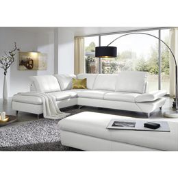 Ecksofa W.Schillig, B:296cm H:84cm T:242cm, grau, Longlife Xtra-Leder Z73: Naturwalkleder der Luxusklasse aus den erlesensten Rohh&auml;uten. Hautst&auml;rke