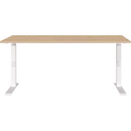 Schreibtisch Germania, B:160cm H:91cm T:80cm, braun, B&uuml;ro, Tische, "Downey", h&ouml;heneinstellbar