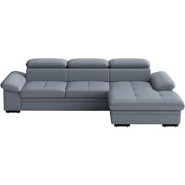 Sit & More Ecksofa SIT & MORE, B:260cm H:73cm T:174cm, grau, Wohnzimmer, Sofas, "Viola, Leder, L-Form, B: 260 cm, mit Armteil- und Kopfteilvertsellung",