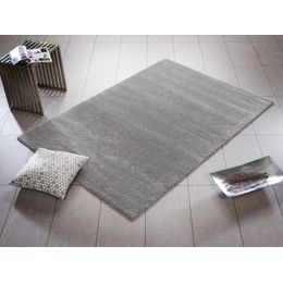Teppich, B:200cm H:20mm L:250cm, grau, OCI DIE TEPPICHMARKE, Polypropylen, Wohnzimmer, Teppiche, "BELLEVUE, auch als L&auml;ufer und in Rund",