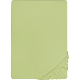 Biberna Spannbettlaken &raquo;THEA Baumwoll-Jersey mit Elasthan, 160 g/m&sup2;&laquo; Bettlaken f&uuml;r Matratzen bis 25 cm H&ouml;he, pflegeleicht, b&uuml;gelfrei gr&uuml;n Jersey-Elasthan, 