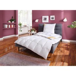 Balette G&auml;nsedaunenbettdecke &raquo;Aileen&laquo; normal F&uuml;llung 100% G&auml;nsedaunen 1 Stk. tlg. Hochwertiges Produkt mit nat&uuml;rlicher F&uuml;llung Bezug: 100% Baumwolle. F&uuml;llung: