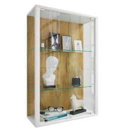 Wandregal Vcm, B:60cm T:25cm, braun, Wohnzimmer, Regale, "Wandvitrine H&auml;ngevitrine Glasvitrine Glas Udina M"