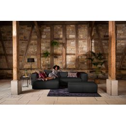 Ecksofa W.Schillig, B:300cm H:66cm T:164cm, schwarz, Longlife Xtra-Leder Z59: Glattleder mit modischer Pr&auml;gung. Hautst&auml;rke 0, 9 - 1, 1 mm,