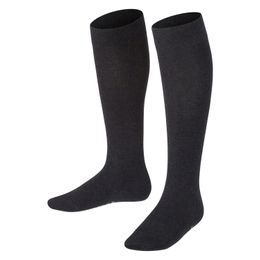 Falke Kinder Kniestr&uuml;mpfe "Family", Gr. 31, grau, Obermaterial: 92% Baumwolle CO. 7% Polyamid PA. 1% Elasthan EL., glatt, Socken