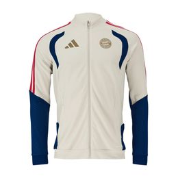 adidas Performance Athletic Jacket 'Teamline' male size XS Blue / Red