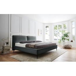 Meise M&ouml;bel Polsterbett MEISE.M&Ouml;BEL, H:108cm L:223cm, grau, Betten, "Infinity erh&auml;ltlich in verschiedenen Farben und Breiten", mit schwarzen Metallf&uuml;&szlig;en