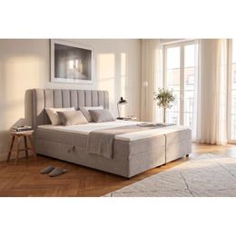 OTTO home Boxbett &raquo;HAILEYY, Polsterbett mit Bettkasten, inkl. Taschenfederkernmatratze H3&laquo; mit Kaltschaumtopper, Chenille-Bezug, 140x200 & 180x200 cm 