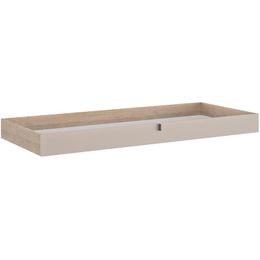 Bettschubkasten &raquo;Ritmo Bettschubkasten&laquo; eine praktische Schublade, um seine Sachen zu verstauen braun Holzwerkstoff B/H/T: 193cm x 17cm x 82cm
