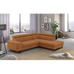 Ecksofa COTTA, B:262cm H:97cm T:215cm, braun, Wohnzimmer, Sofas, "Emma L-Form, B: 262 cm", mit Kopfteilverstellung, optional Schlaffunktion &
