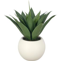 Kunstpflanze Creativ green, H:50cm, gr&uuml;n, Obermaterial: 100% Kunststoff, Kunstpflanzen, "Agave attenuata", mit naturgetreuem Blattwerk