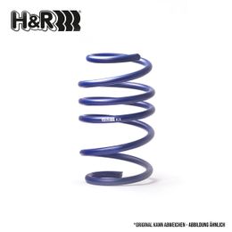 H&R Fahrwerksfeder 28901ha1 Hinterachse