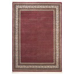 Orientteppich Theko, B:170cm H:12mm L:240cm, rot, Schurwolle, Teppiche, "Abbas Meraj Mir, handgekn&uuml;pft", reine Wolle, mit Fransen, Wohnzimmer