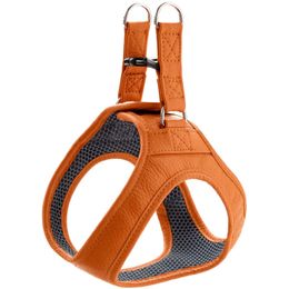 Hunter Geschirr Hilo orange / XS-S