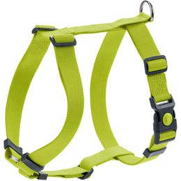 Hunter Geschirr London Vario Rapid limette / M