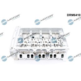 DR.MOTOR AUTOMOTIVE Zylinderkopf drm6410 f&uuml;r Ford Fiat Peugeot