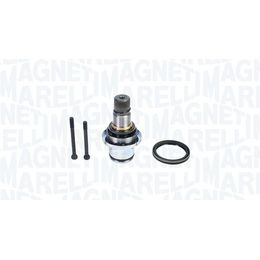 MAGNETI MARELLI Steckwelle, Differential 302020100001 Vorderachse rechts f&uuml;r Ford SEAT