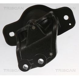 TRISCAN Lagerung, Motor 8505 10128 f&uuml;r Peugeot TOYOTA