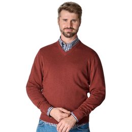 Casamoda Herren Strickpullover "Casamoda Pullover uni", orange, Gr. XXL, 100% Baumwolle, Pullover