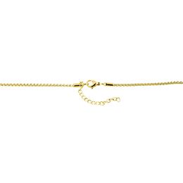 Adelia&acute;s ADELIA ́S Damen Gliederkette "Halskette &ndash; Venezianerkette aus Edelstahl", 40, Edelstahl, gold, Edelstahl, Halsketten, Ideal als Geschenk &ndash; dezent und