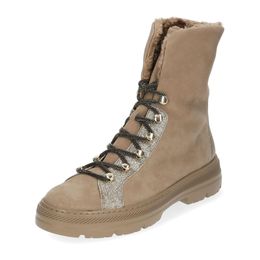 Paul Green Damen Schn&uuml;rstiefelette "Paul Green Stiefelette Nubukleder", Gr. 43, beige, Nubukleder, Schuhe