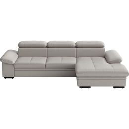 Sit & More Ecksofa SIT & MORE, B:260cm H:73cm T:174cm, grau, Wohnzimmer, Sofas, "Viola, Leder, L-Form, B: 260 cm, mit Armteil- und Kopfteilvertsellung",