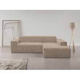Ecksofa WERK2, B:253cm H:70cm T:188cm, braun, 100% Polyester, Wohnzimmer, Sofas, "Zeus-L 253 cm breit, bequemes Cord-Sofa in L-Form, urbanes Design",