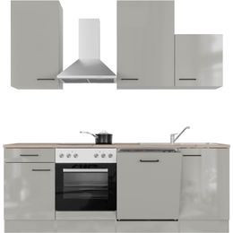 K&uuml;che Flex-Well, B:220cm H:234cm T:60cm, grau, Komplettk&uuml;chen-Sets, "Lund", wahlweise mit E-Ger&auml;ten, Breite 220 cm, gl&auml;nzende Fronten