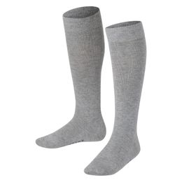 Falke Kinder Kniestr&uuml;mpfe "Family", Gr. 19, grau, Obermaterial: 92% Baumwolle CO. 7% Polyamid PA. 1% Elasthan EL., glatt, Socken