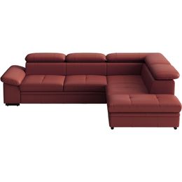 Sit & More Ecksofa SIT & MORE, B:249cm H:73cm T:226cm, beige, Wohnzimmer, Sofas, "Viola, L-Form, Leder, B: 249 cm", optional mit Schlaffunktion
