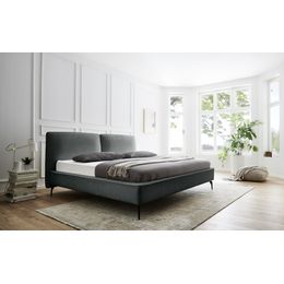 Meise M&ouml;bel Polsterbett MEISE.M&Ouml;BEL, H:108cm L:223cm, grau, Betten, "Infinity erh&auml;ltlich in verschiedenen Farben und Breiten", mit schwarzen Metallf&uuml;&szlig;en